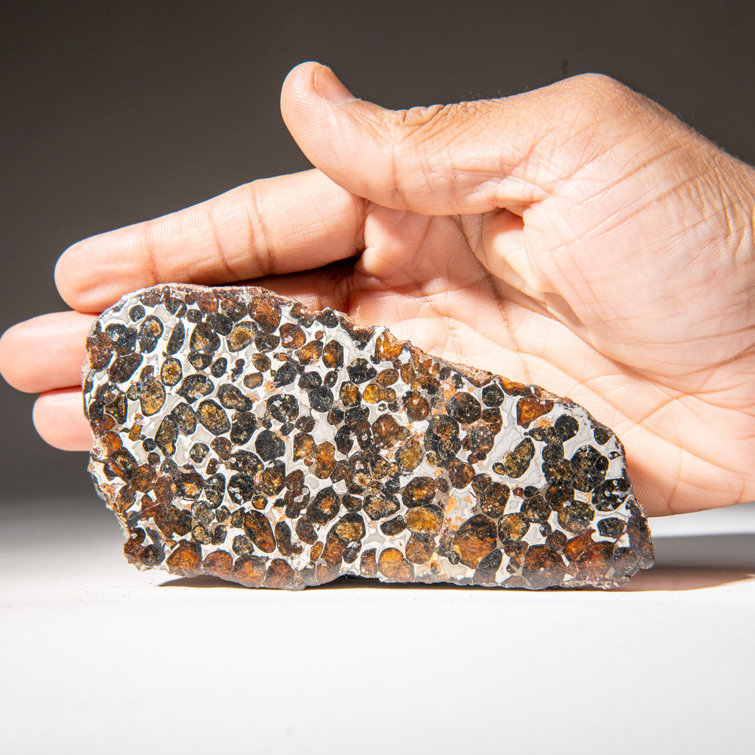 Astro Gallery of Gems Genuine Sericho Pallasite Meteorite Slab (394.3 ...