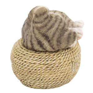 Hi-Line Gift Ltd. Cat Statue & Reviews | Wayfair