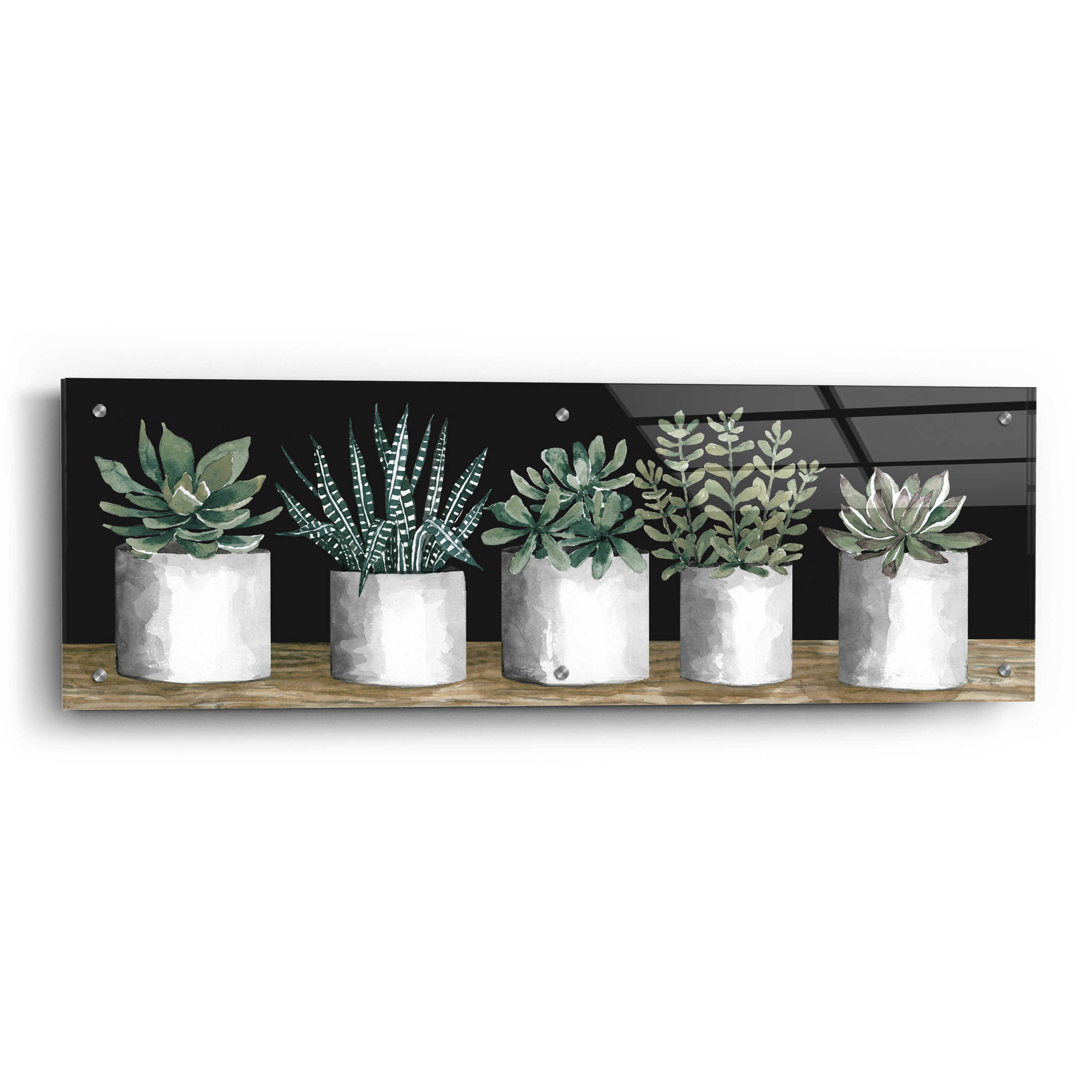 Bungalow Rose Succulent Row by Cindy Jacobs - on - Wayfair Canada