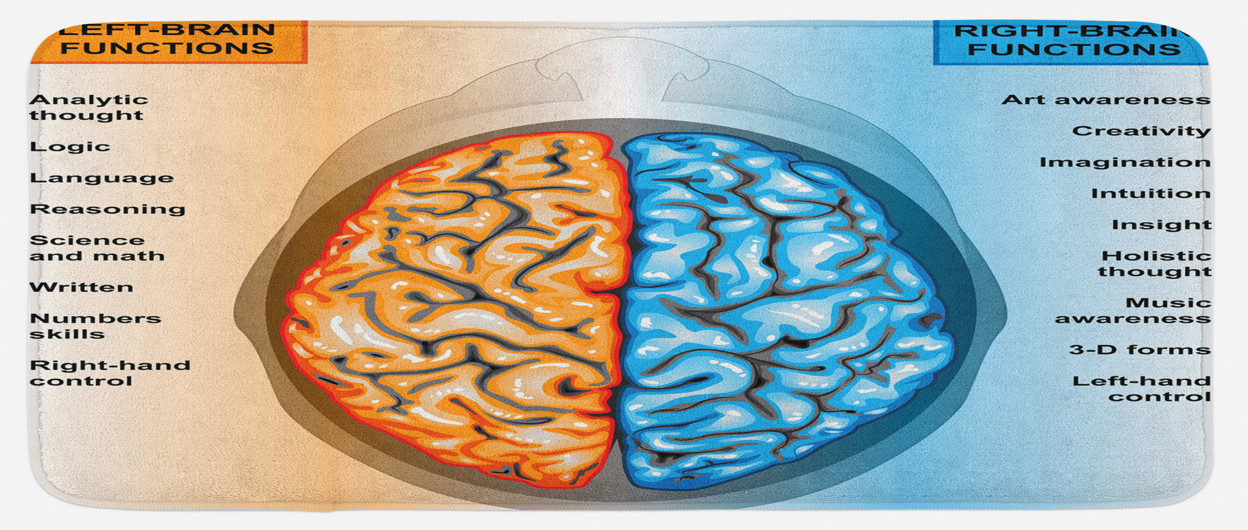 East Urban Home Human Brain Left And Right Functions List Mentality ...