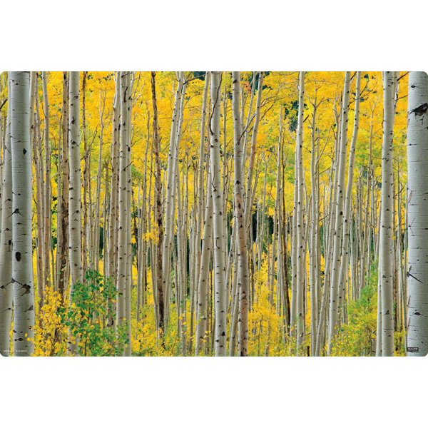 Imagine Work Surface Plastic Desk Pad - Wayfair Canada