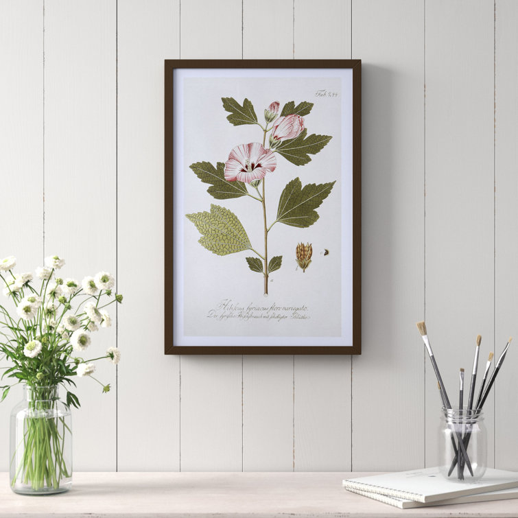 Five Perfume & Reviews | Birch Lane