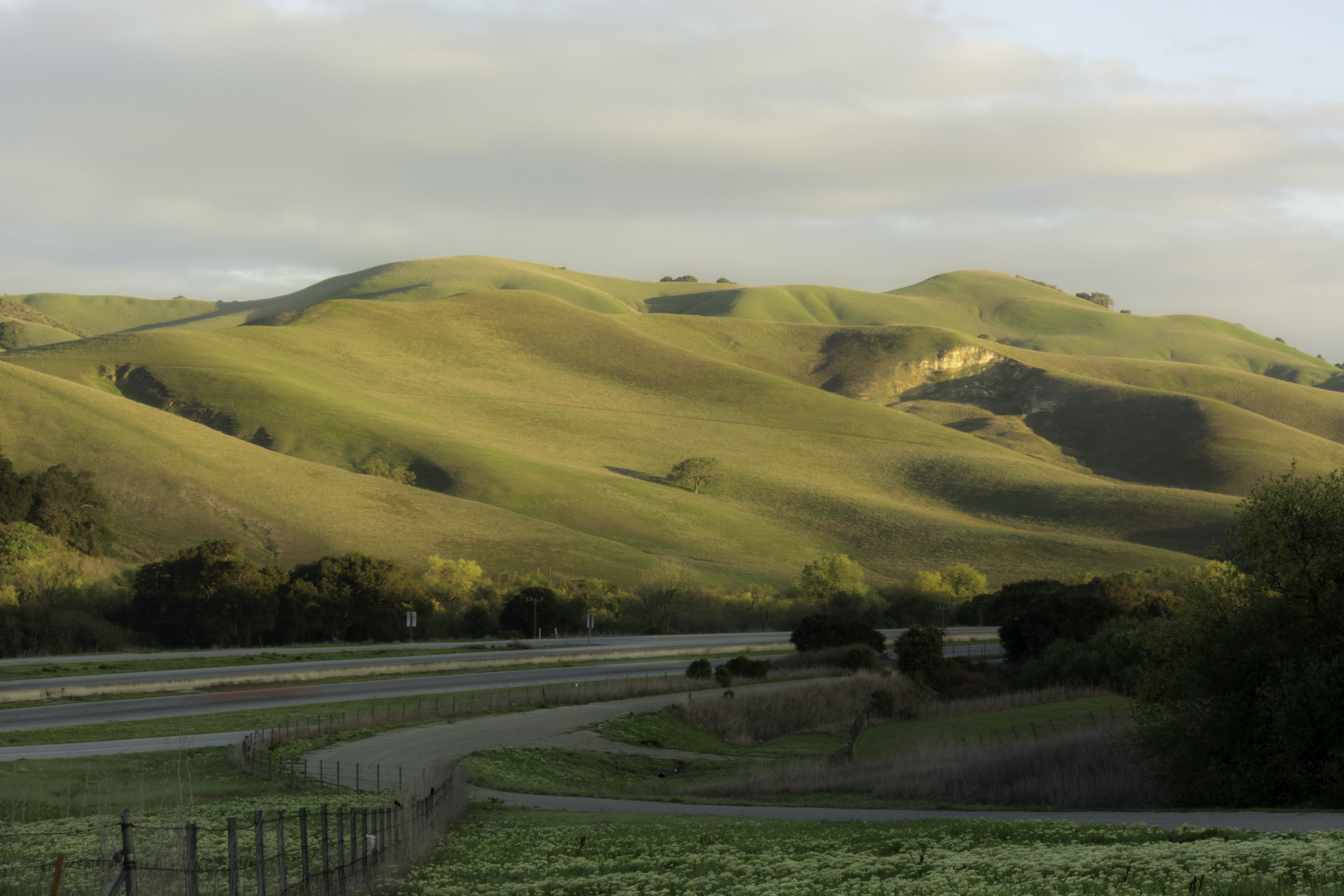 Gracie Oaks Sunrise County - Wayfair Canada
