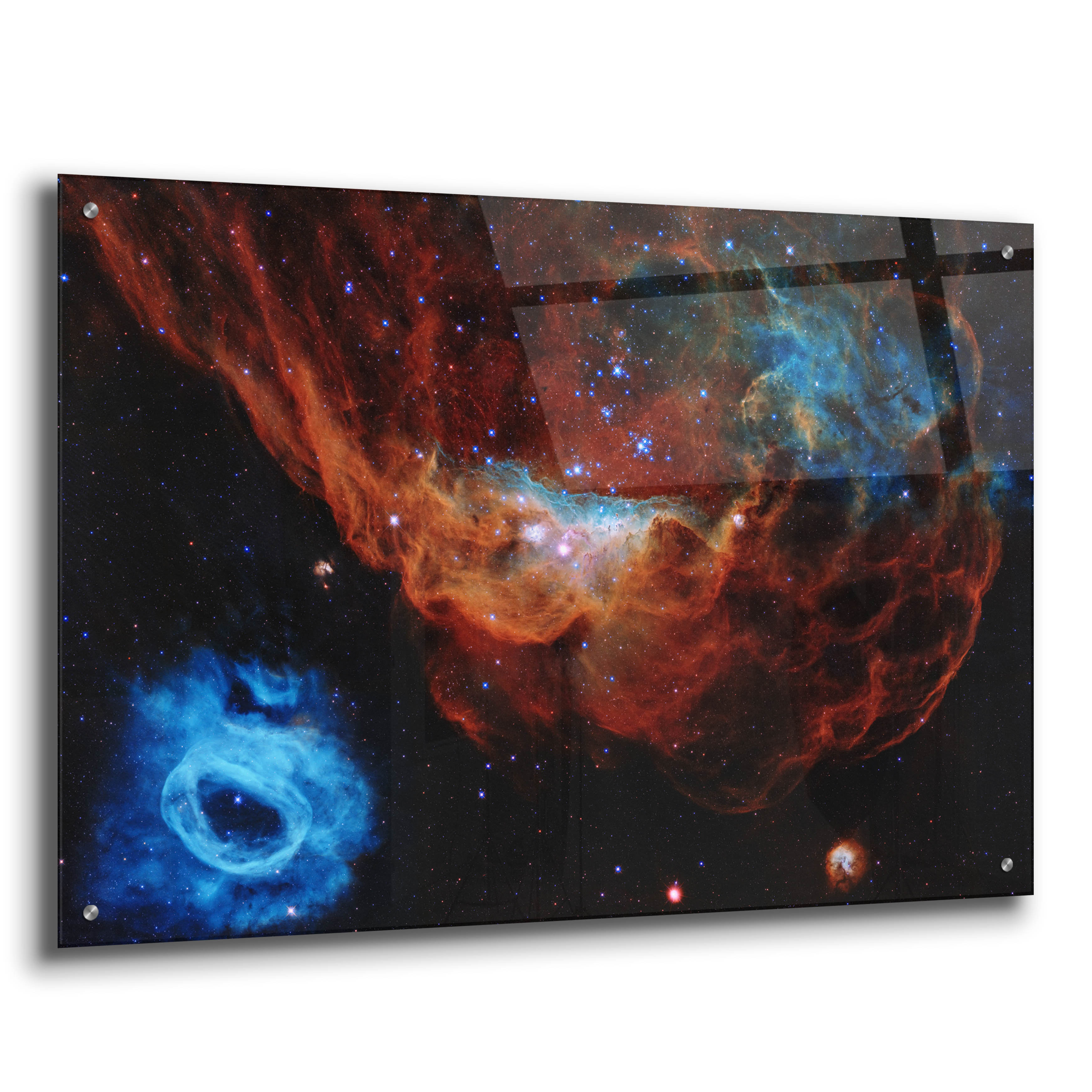 Ivy Bronx 'The Cosmic Reef NGC 2014 and NGC 2020' by Hubble Space ...