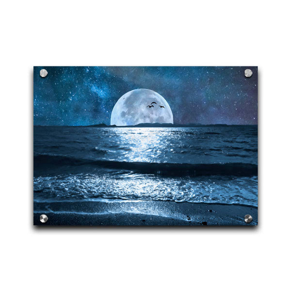 Dovecove " Big Moon In A Night Sky " by Hal Halli | Wayfair