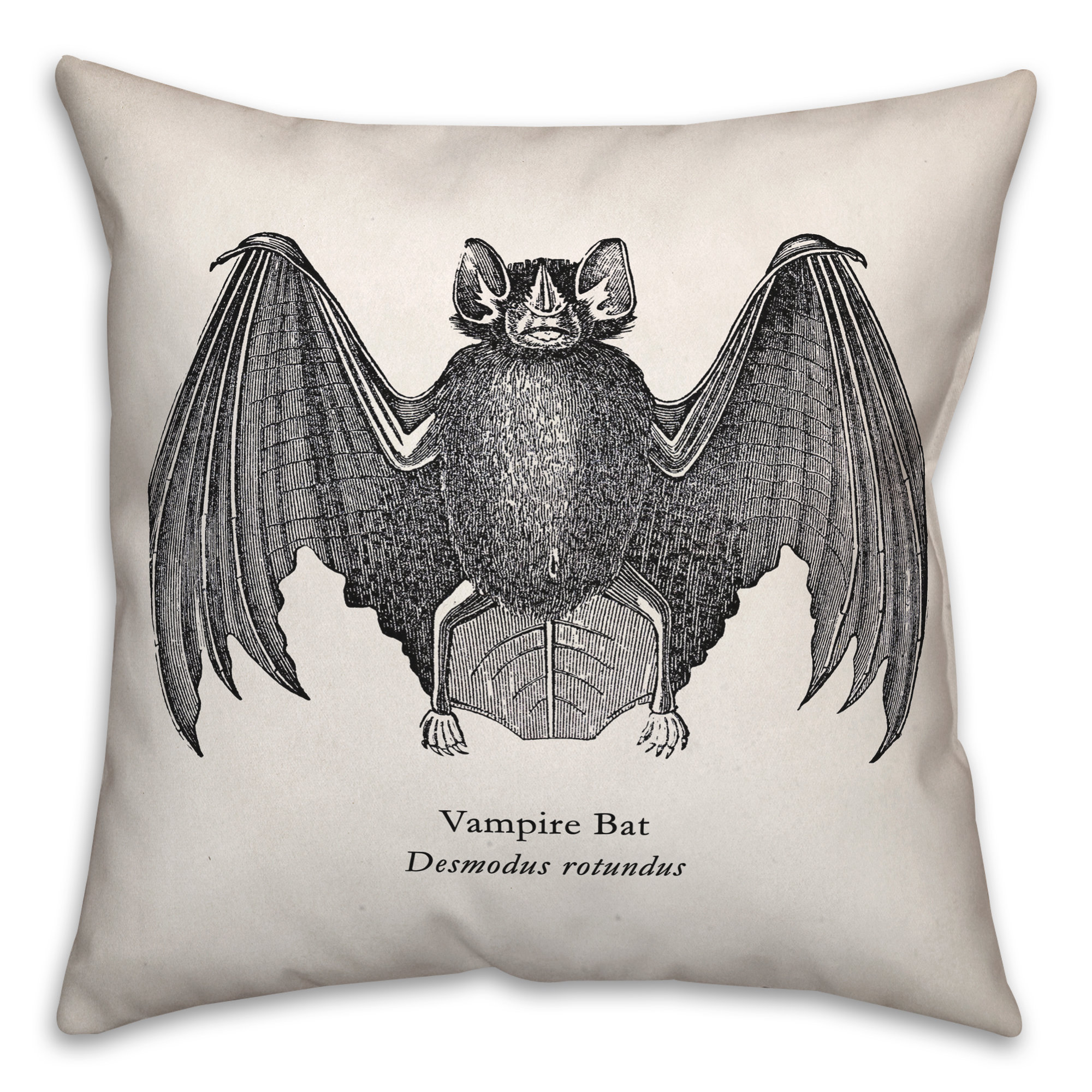 Designs Direct Creative Group Scientific Bat Square Pillow Cover ...