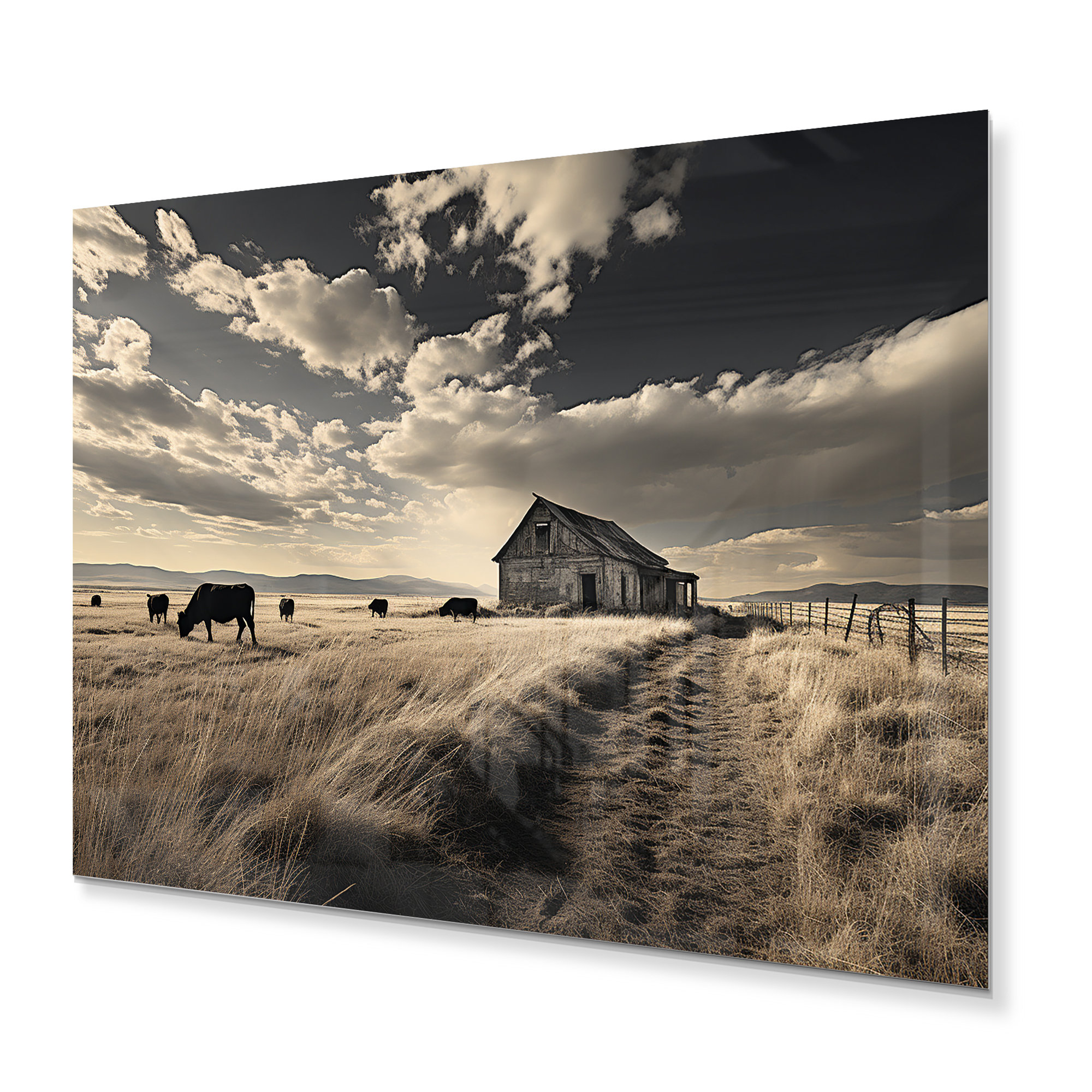 Gracie Oaks Cattle Silent Horizon III - Animals Metal Wall Art Prints ...