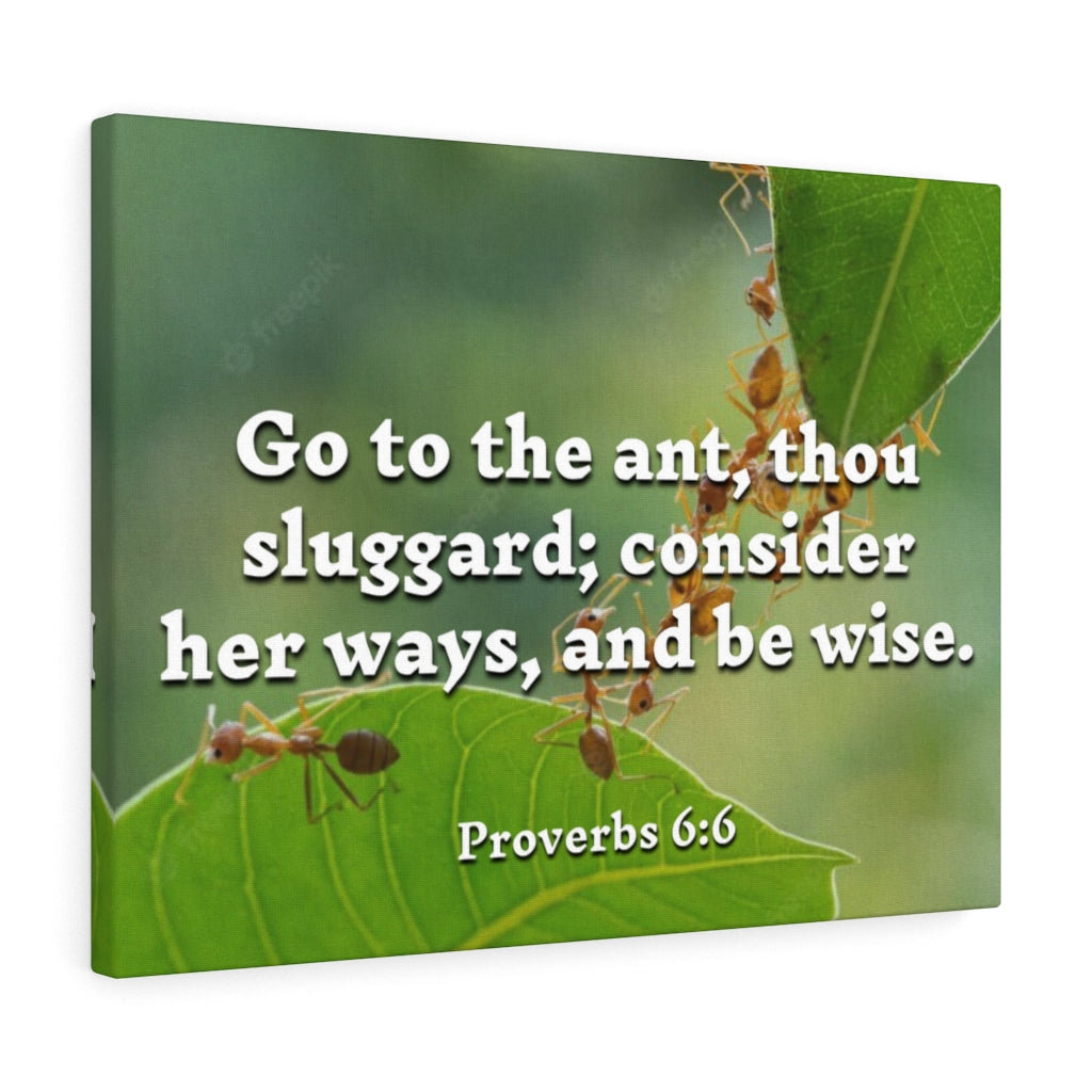 Blue Elephant Be Wise Proverbs 6:6 - Wrapped Canvas Typography ...