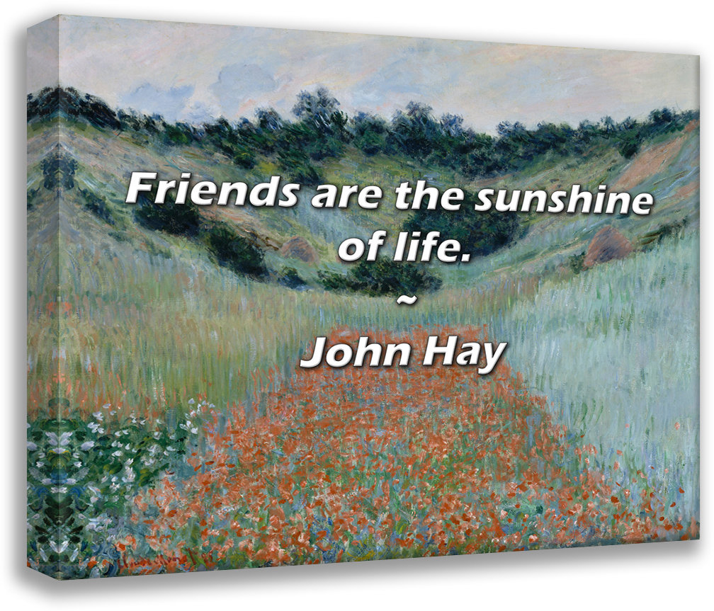 Latitude Run® John Hay Quote: Friends are the sunshine of life. | Wayfair