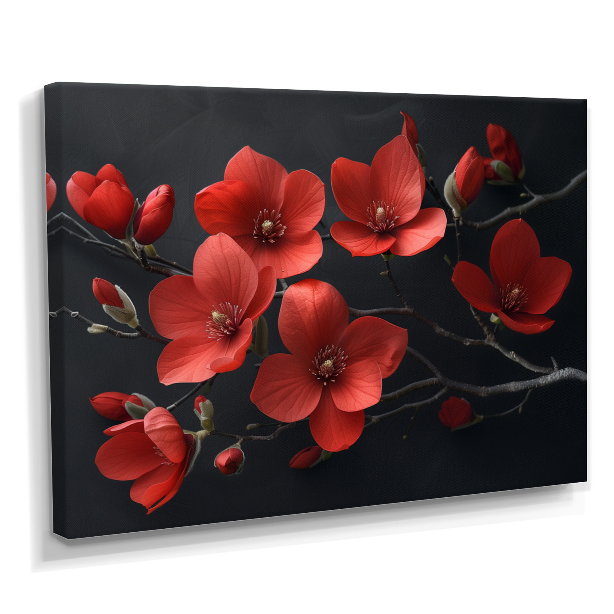 Design Art Red Black Garden Glamour Magnolias Photo I - Magnolias Wall ...