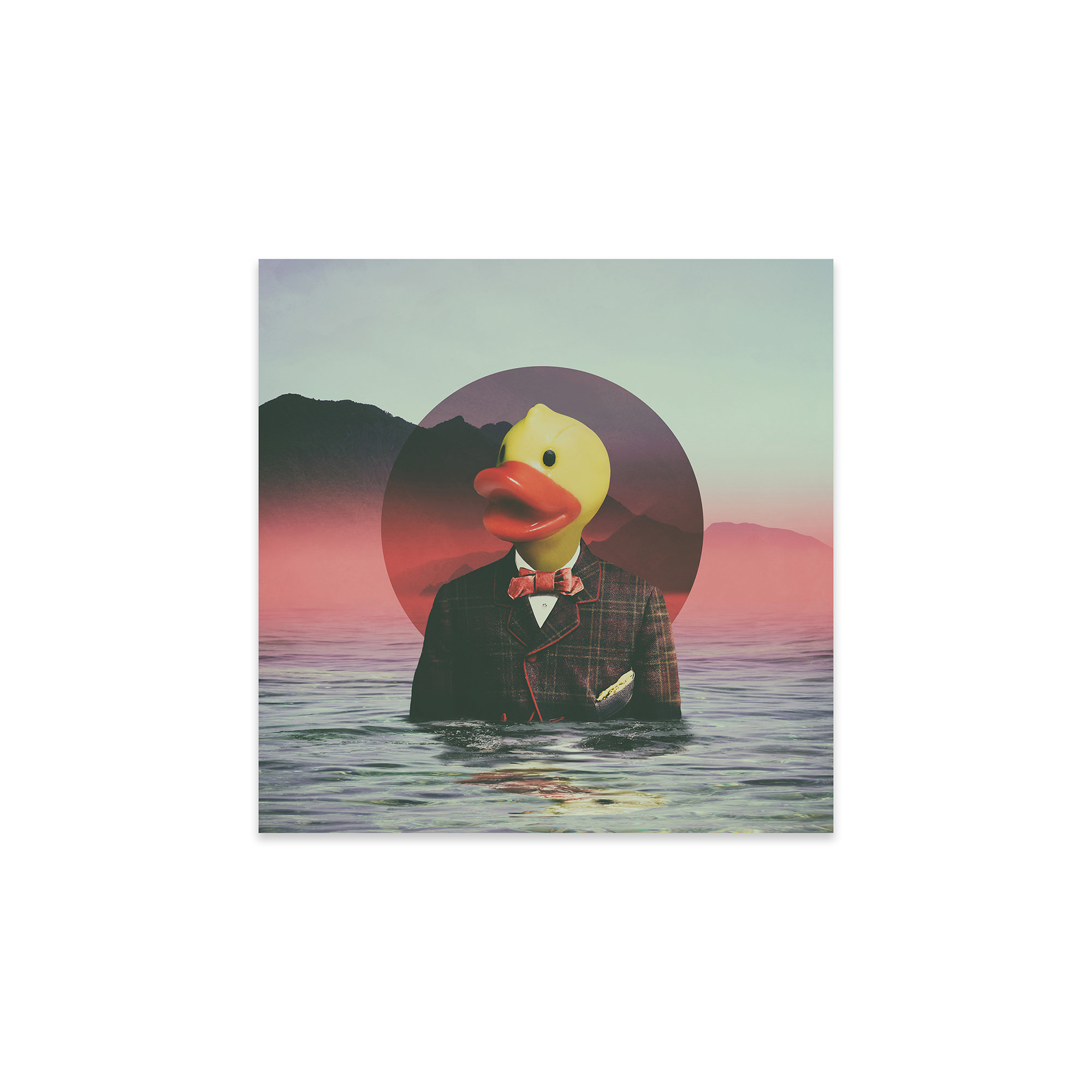 Trinx Rubber Ducky, Square Print On Acrylic Glass - Wayfair Canada