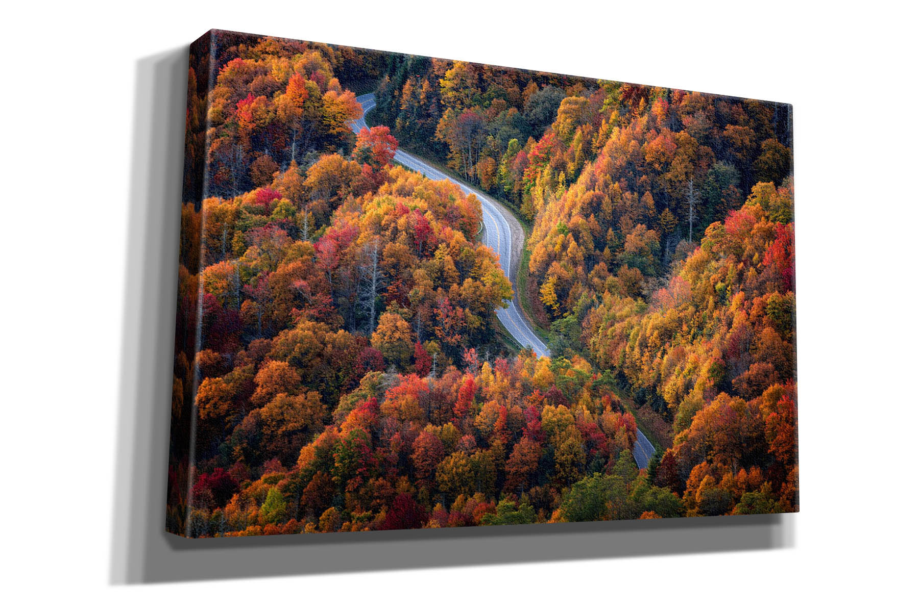 Millwood Pines 'Newfound Gap' by Rick Berk Canvas Wall Art | Wayfair