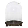 Williston Forge Kenilworth Metal Base Vitrine Cloche | Wayfair