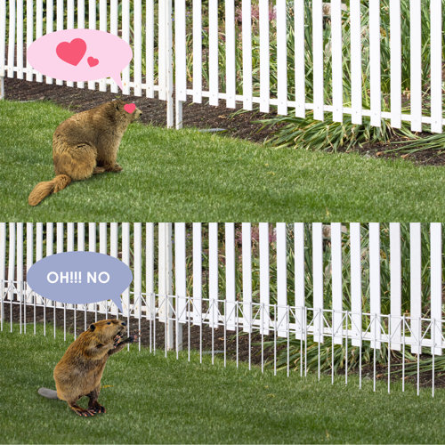 EFPerfect 15'' H x 24'' W Animal Anti-digging Barrier Fence Rustproof ...