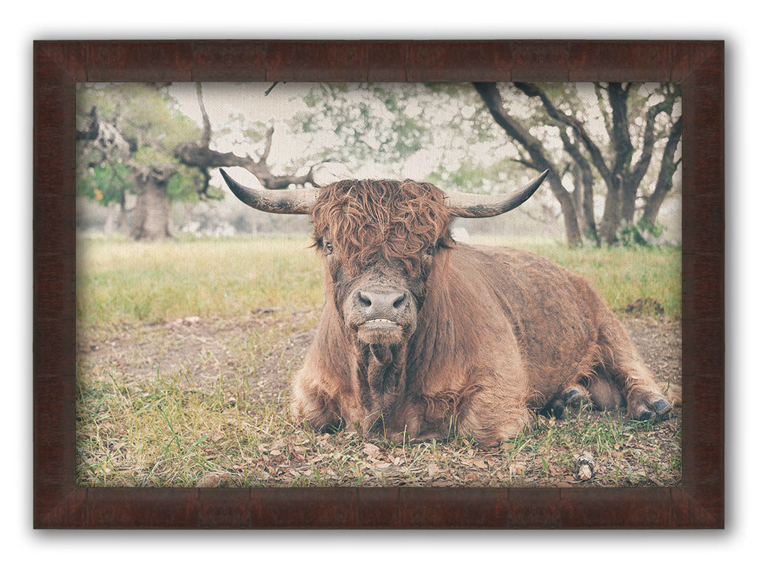 One Allium Way® Relaxing Highland by Kelly Wade. Paper Print - Mounted ...