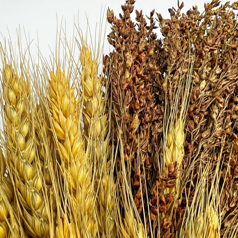 The Holiday Aisle® Real Dried Preserved Wheat and Sorghum Wreath | Wayfair