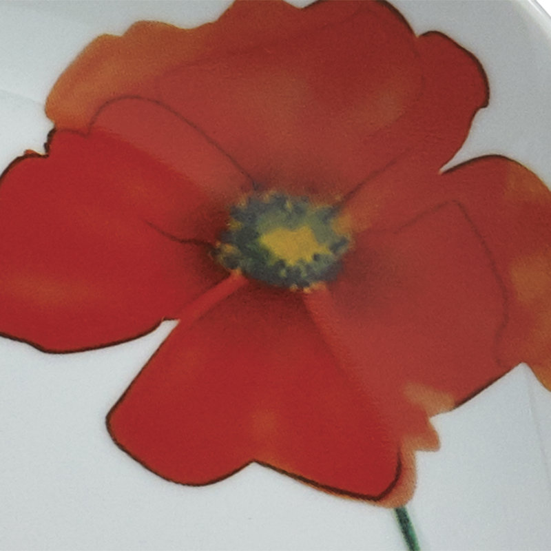 Tabletops Gallery Poppy Tabletops Gallery 16 piece Dinnerware Set ...