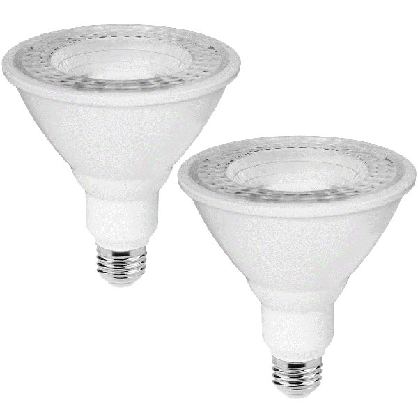 Candex Lighting 18 Watt (120 Watt Equivalent)PAR38 LED Dimmable Light ...