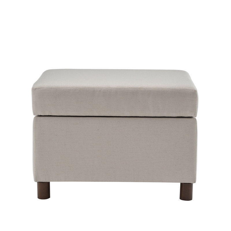 Wade Logan® Avyanah Upholstered Storage Ottoman & Reviews | Wayfair