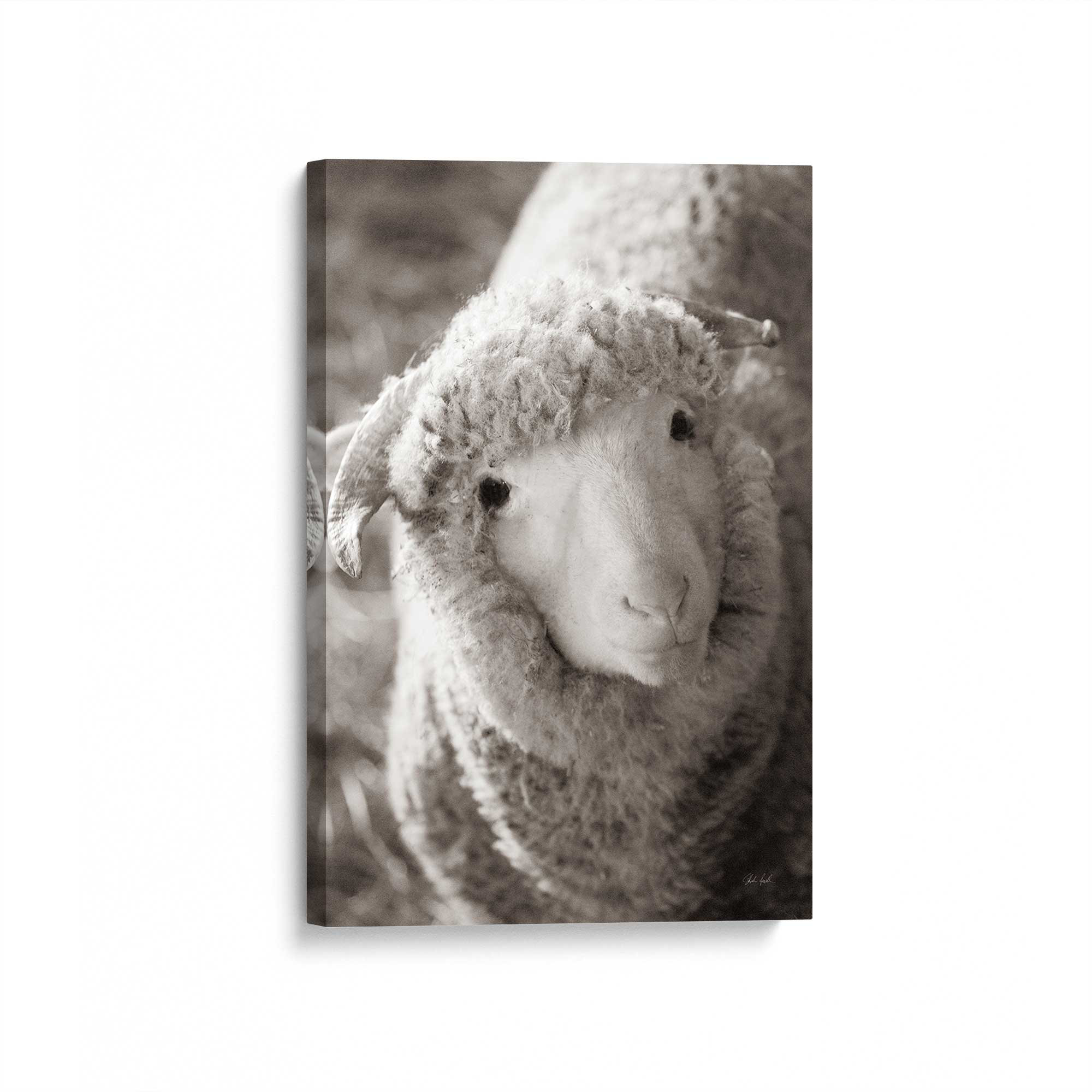 Ophelia & Co. Barn Buddy IV by Deborah Revell Art Print | Wayfair