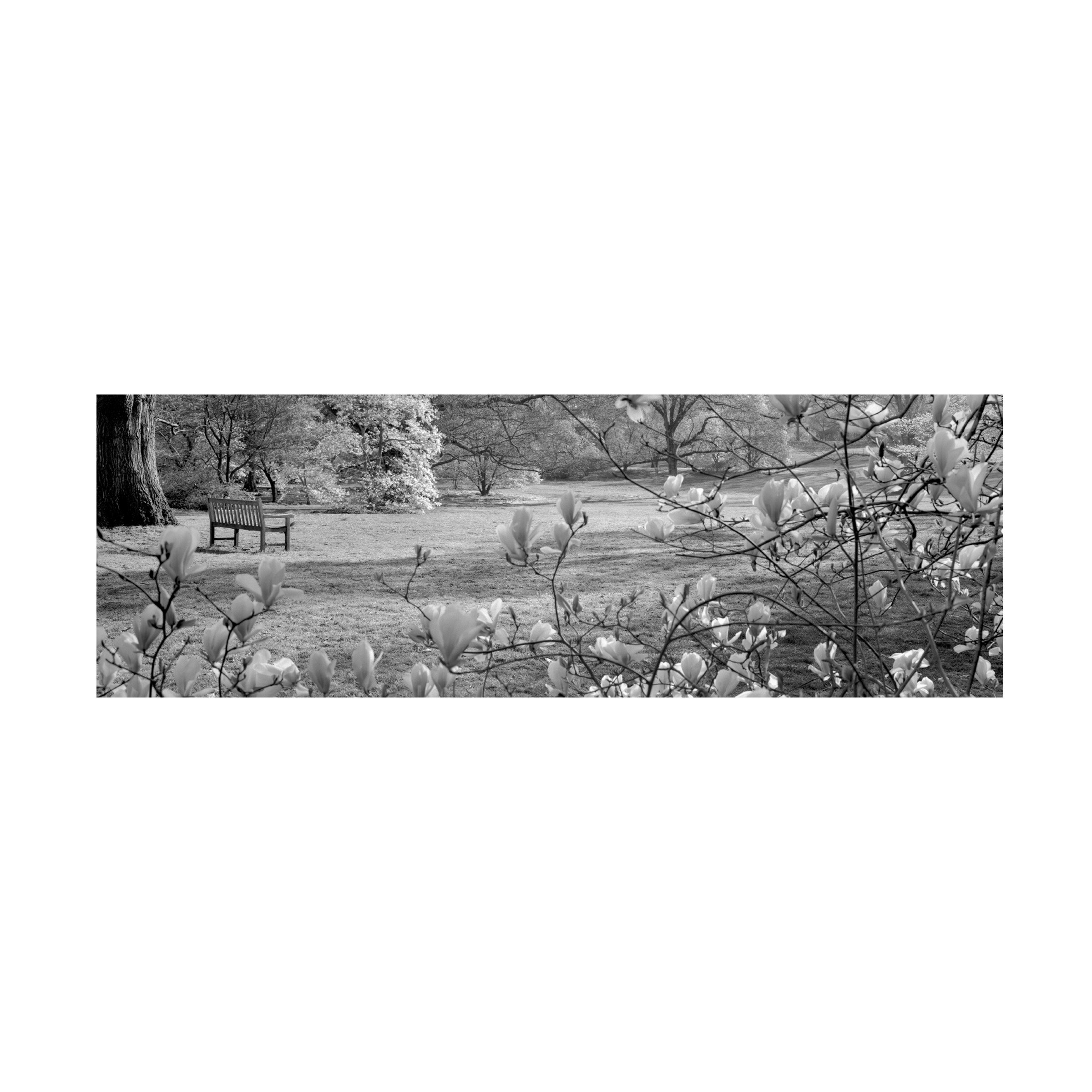 Winston Porter Wrapped Canvas Wall Art - Alan Blaustein 'Hampton ...