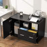 Latitude Run® 1-Drawer Lateral Filing Cabinet & Reviews - Wayfair Canada