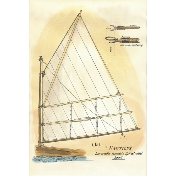 Happy Larry Nautilus IV | Wayfair.co.uk