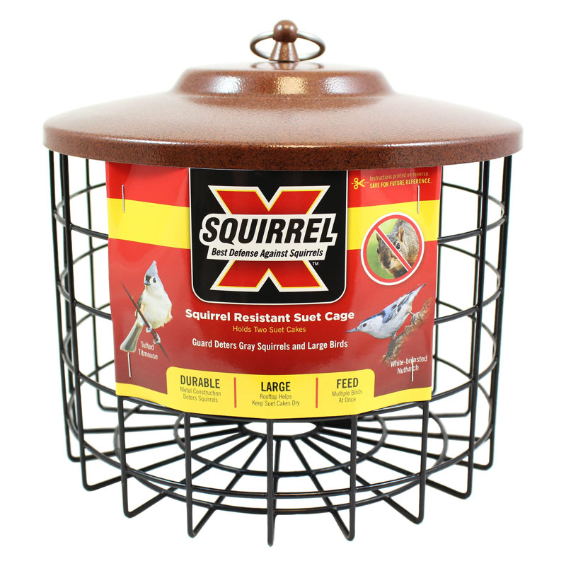 17 Stories Double Suet Caged Bird Feeder - Squirrel Proof, Durable ...