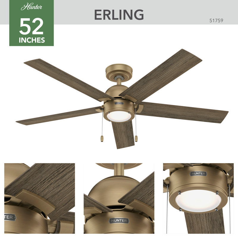 Hunter Fan 52" Erling 6 - Blade Ceiling Fan with LED Light Kit and Pull ...