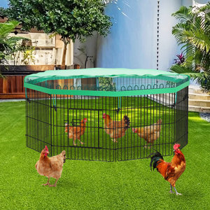 Chicken Runs You'll Love | Wayfair