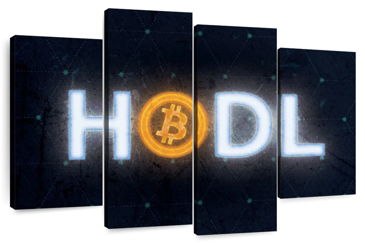 Ebern Designs Glowing Bitcoin Hodl | Wayfair