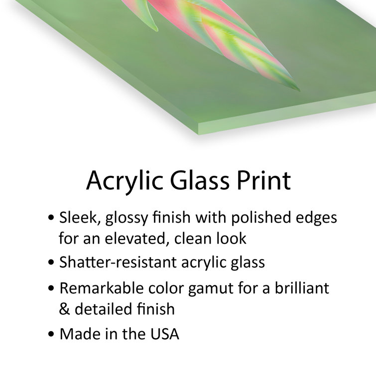 Latitude Run® Heliconia Flower, Sarapiqui, Heredia Province, Costa Rica ...