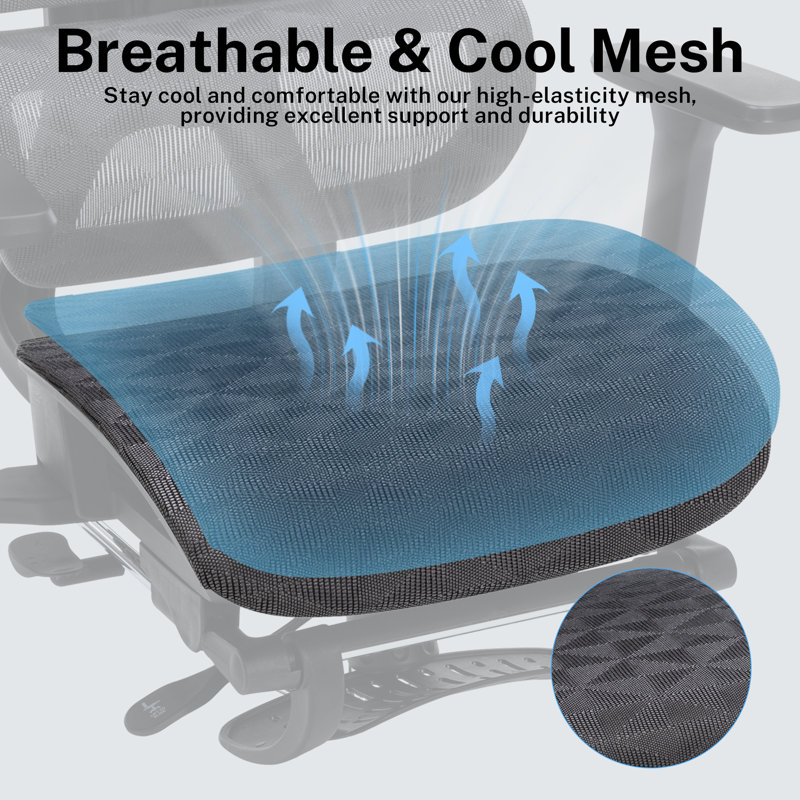 Inbox Zero Michaelena Ergonomic Dual Backrest Office Chair With ...