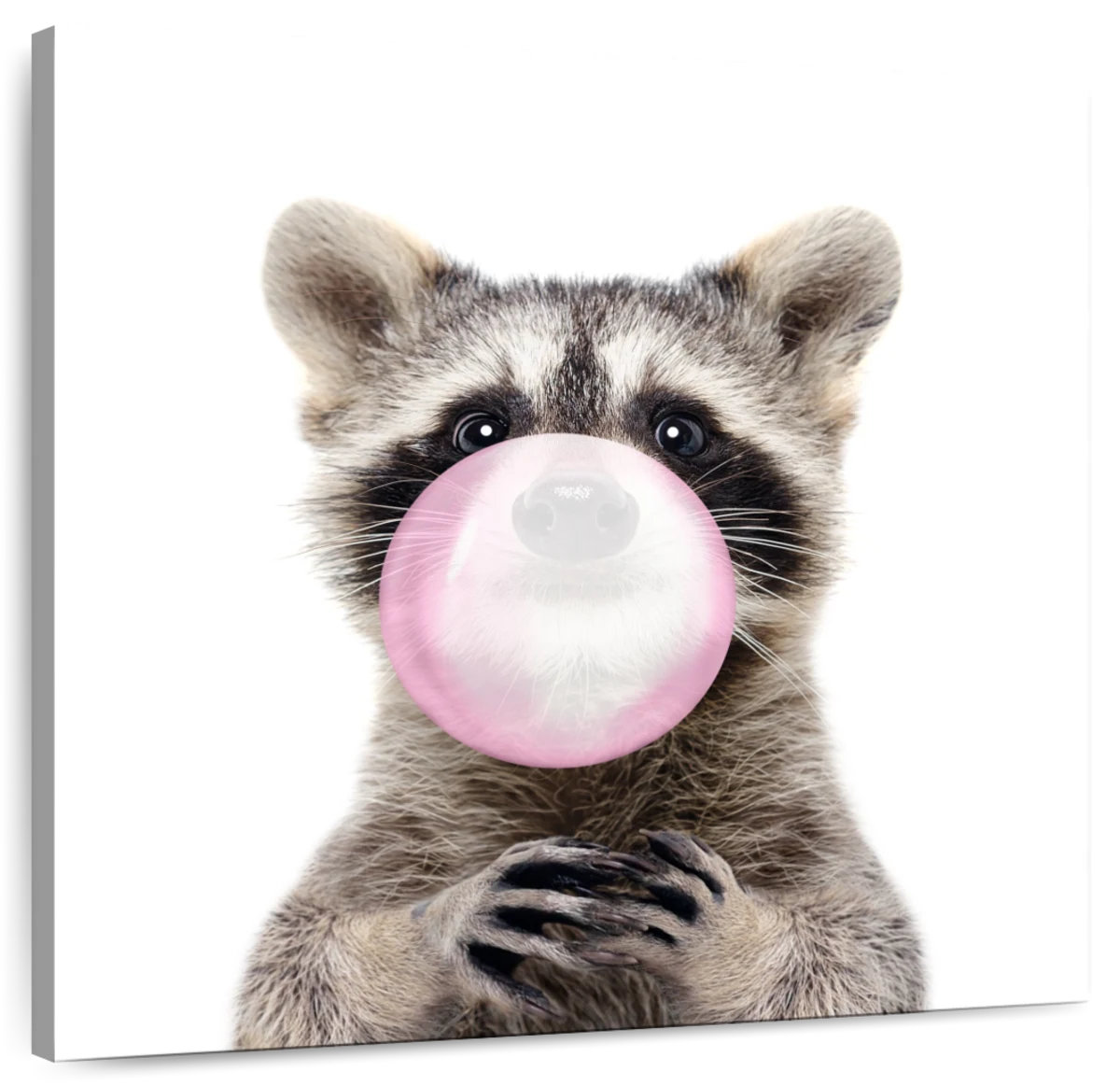 Elephant Stock Bubble Gum Raccoon - Wayfair Canada