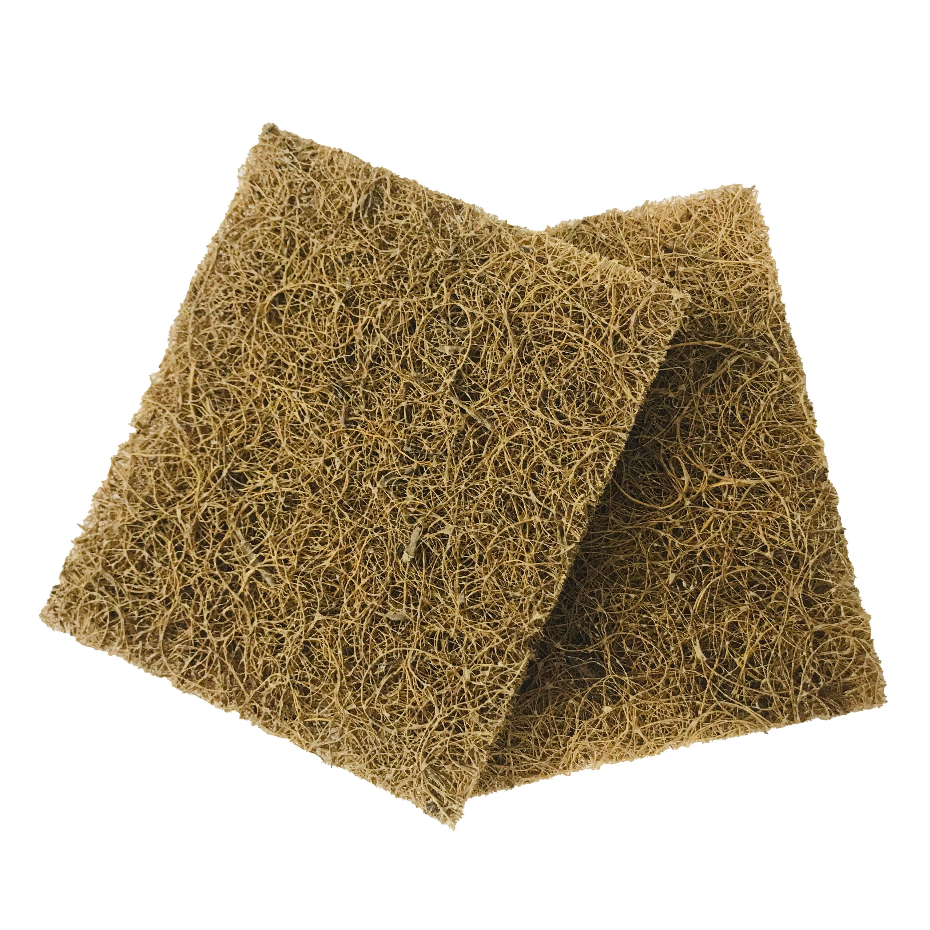 First Concept Inc Double Latex Needled Coir Scrub Pads - Wayfair Canada