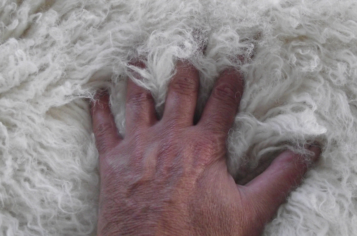 Mercer41 Stylish Greek Flokati Rugs. Long 3" shag pile. Natural Wool ...