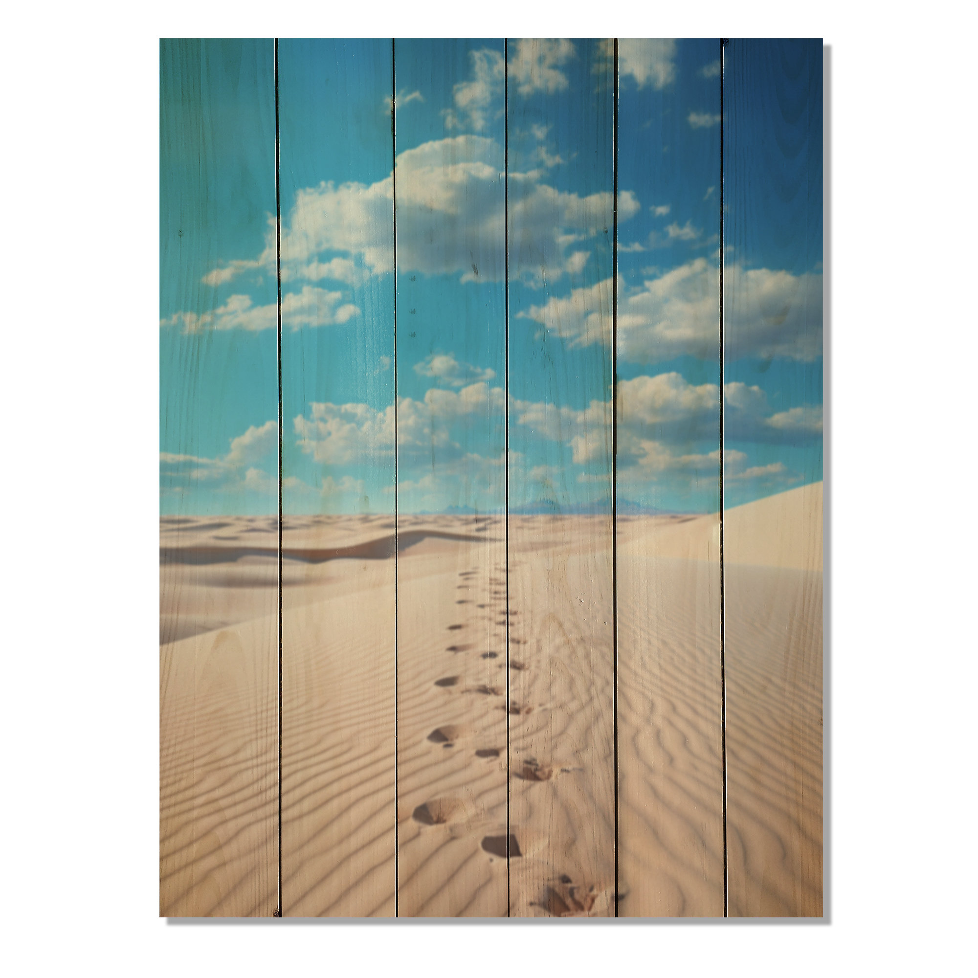 Union Rustic Beach Photo Footprints In III On Wood Print - Wayfair Canada