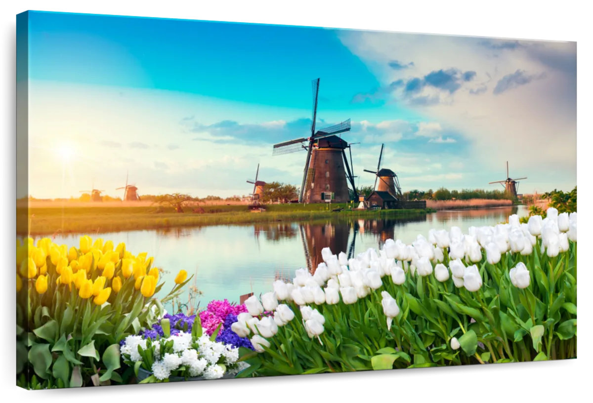 Ebern Designs Kavia Scenic Windmills And Tulips | Wayfair