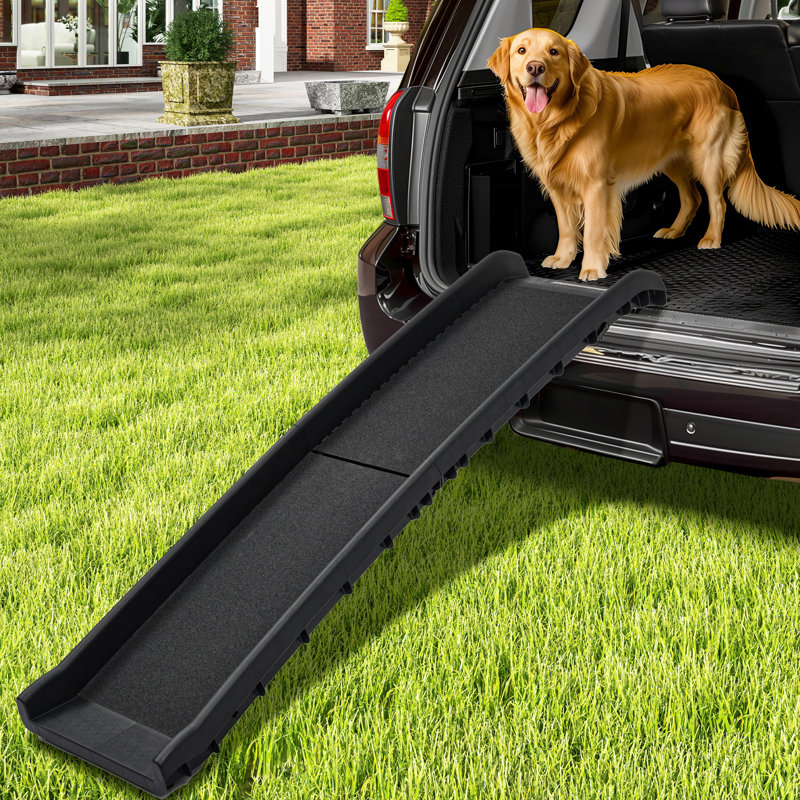 Archie & Oscar™ Boissonneault Folding 61" Pet Ramp & Reviews | Wayfair