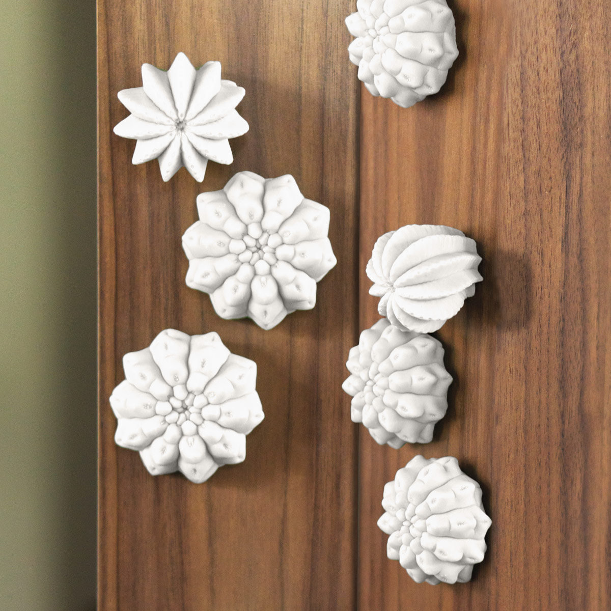 Wrought Studio Cactus Nyelle - Wayfair Canada