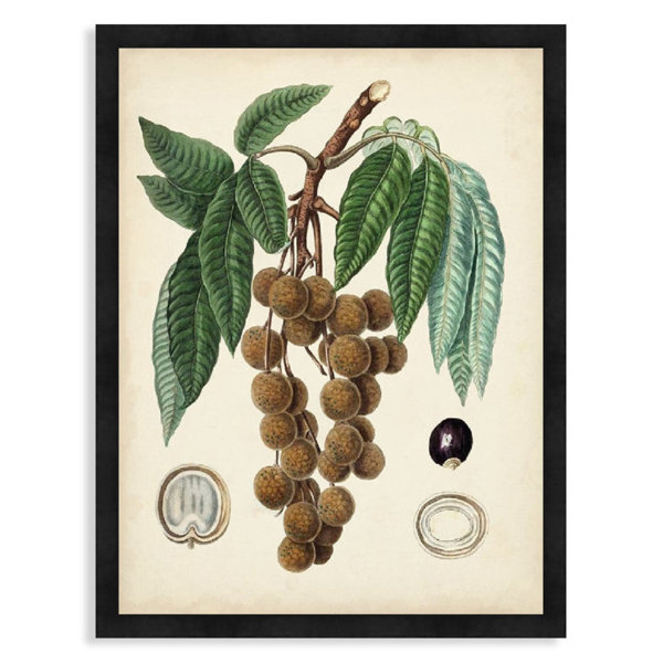 Rosalind Wheeler Bahama Breeze I Framed by Loreth Lanie Print - Wayfair ...