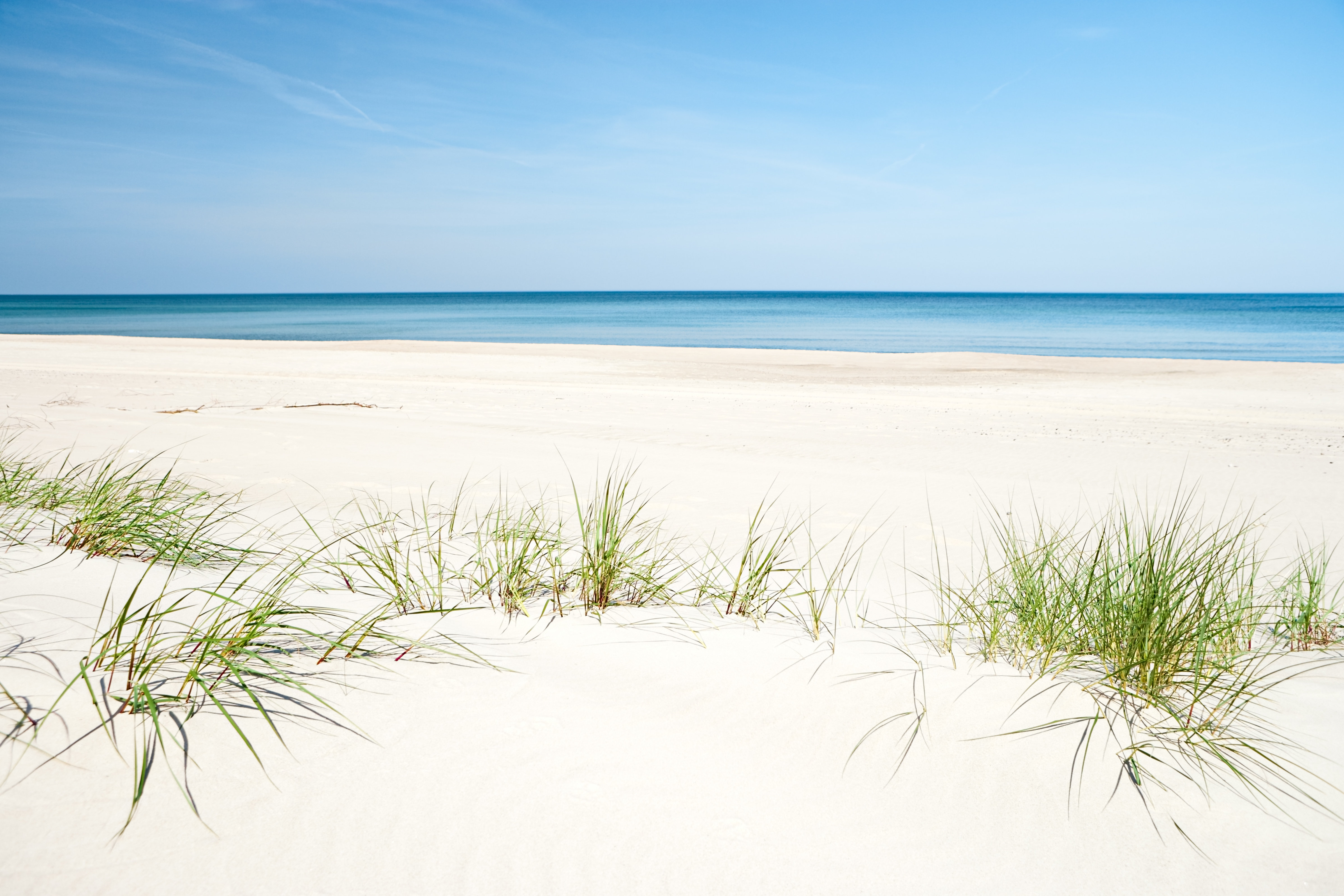 Beachcrest Home Sand Dunes by Hadynyah - Wayfair Canada