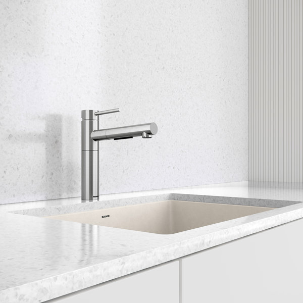 Blanco Alta II Low Arc Pull-Out Dual-Spray Kitchen Faucet | Wayfair