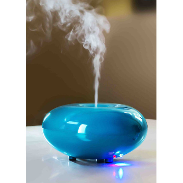 Ivy Bronx Lederer Donut Ultrasonic Aromatic Diffuser & Reviews | Wayfair