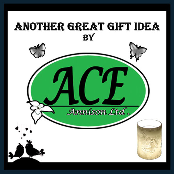 Ace Annison - Wayfair Canada