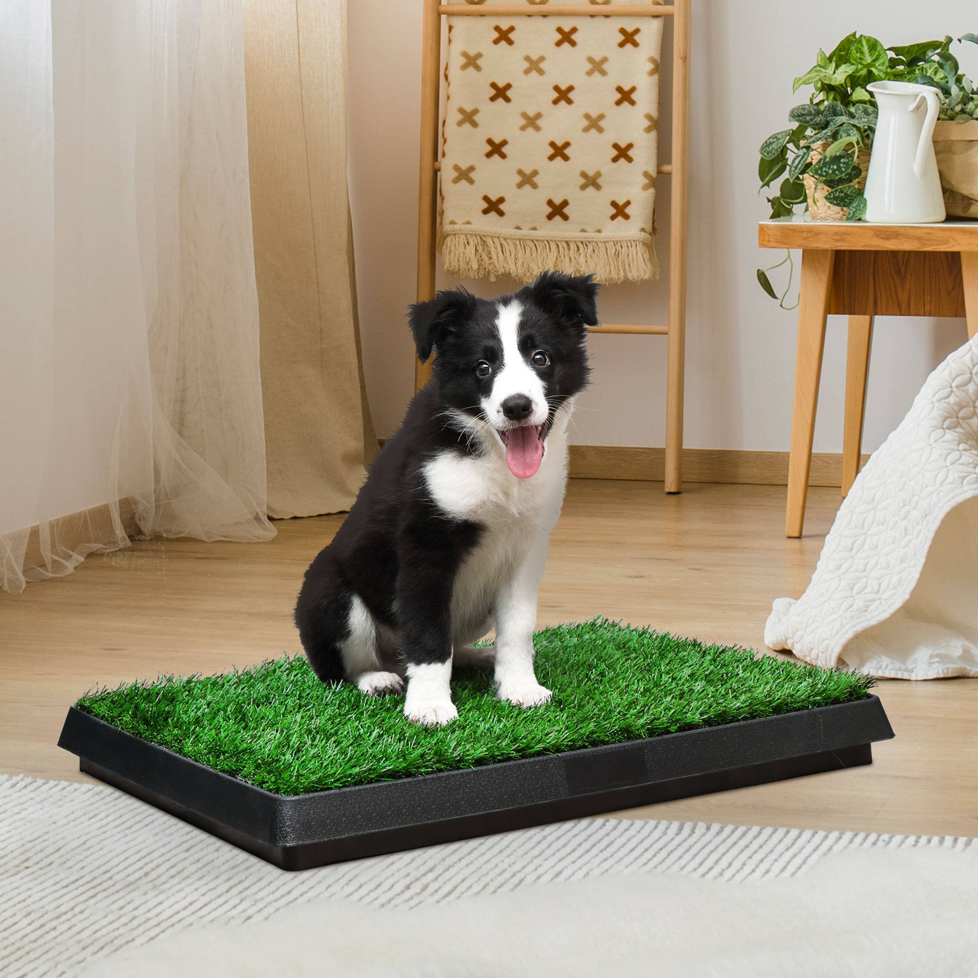Tucker Murphy Pet™ Kaydence Dog Potty Trainer Pee Turf with Drawer 20 ...