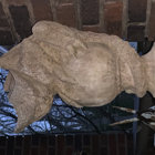 Campania International, Inc Oscar Statue & Reviews | Wayfair