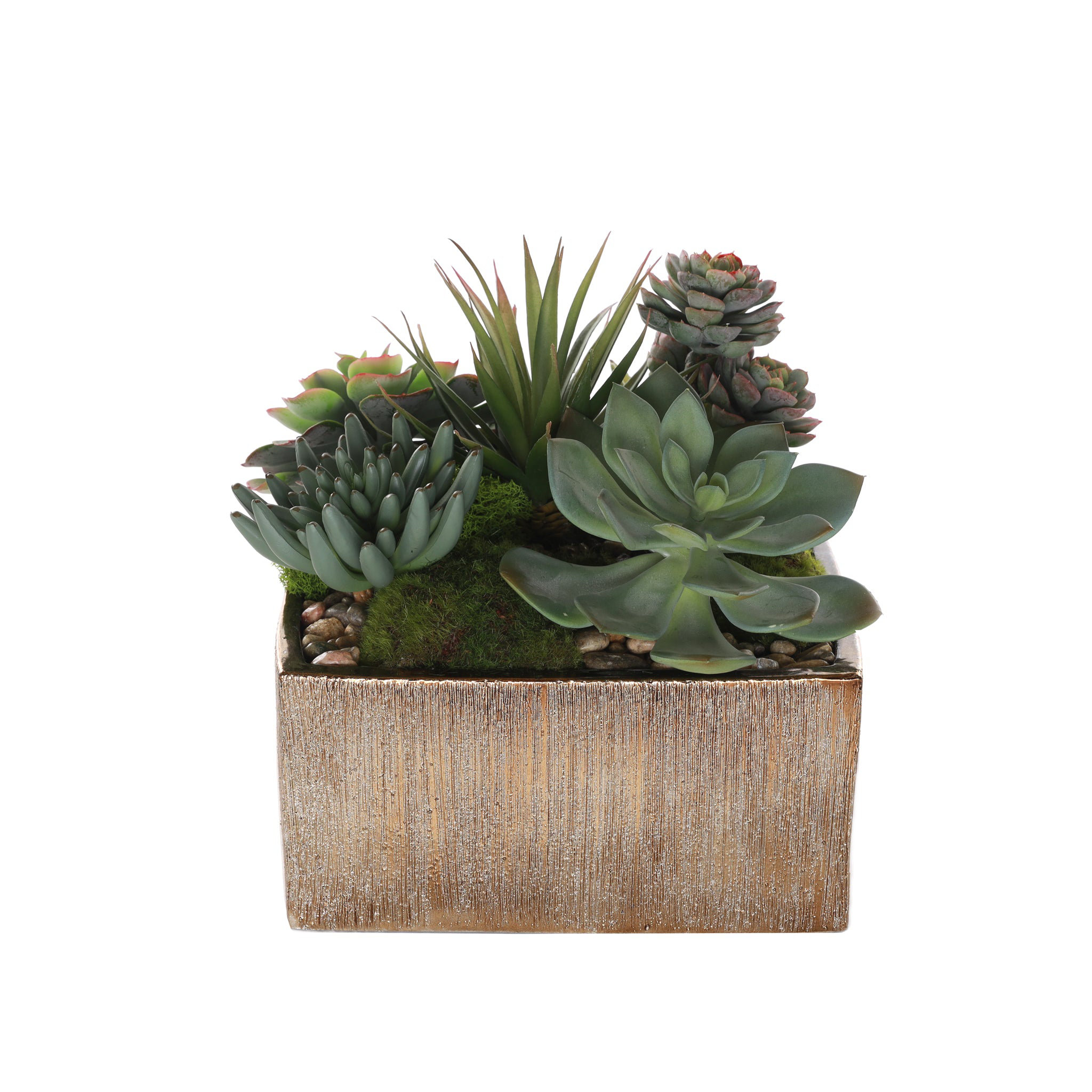 Jenny Silks Succulents Arrangement with rocks in Square Etched Sliver ...