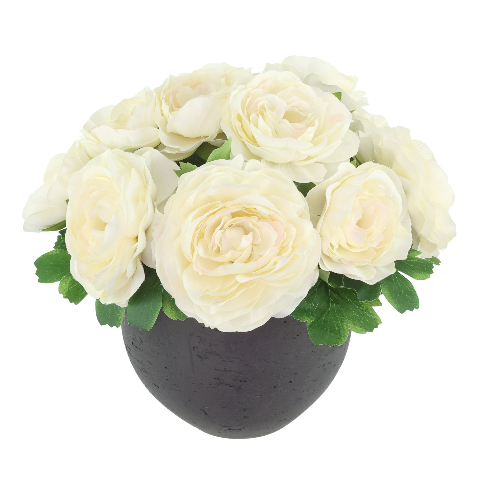 Primrue Ranunculus Arranged in Fiberstone Pot | Joss & Main