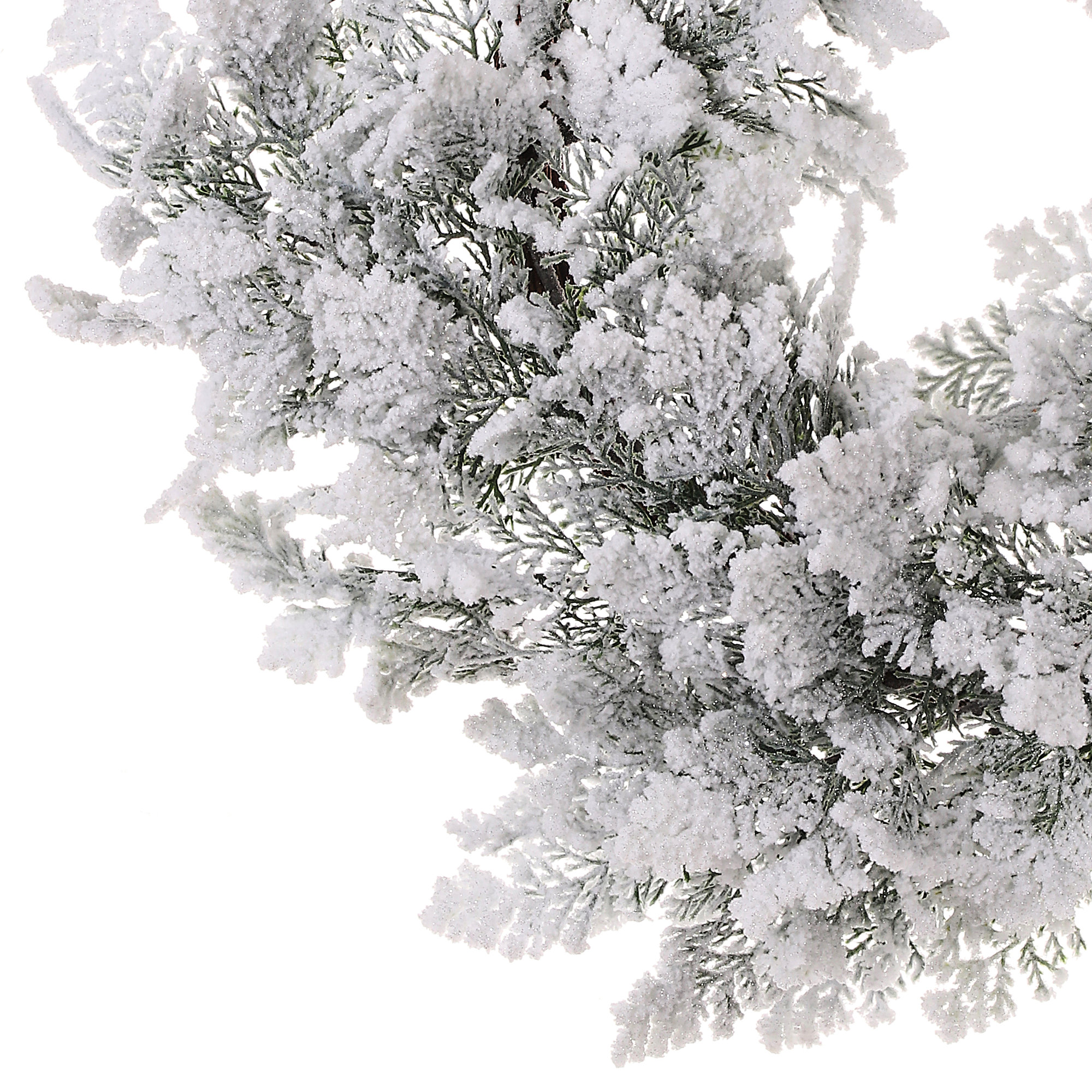 The Holiday Aisle® 28" Snowy Acadia Cedar Wreath | Joss & Main